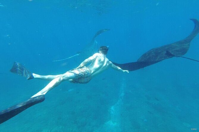Bali Private Snorkeling (Manta, Gamat, Wall) and Nusa Penida Tour - An Honest Look at the Bali Snorkeling and Nusa Penida Adventure