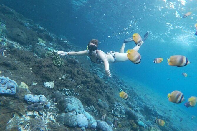 Bali Private Snorkeling (Manta, Gamat, Wall) and Nusa Penida Tour - FAQ