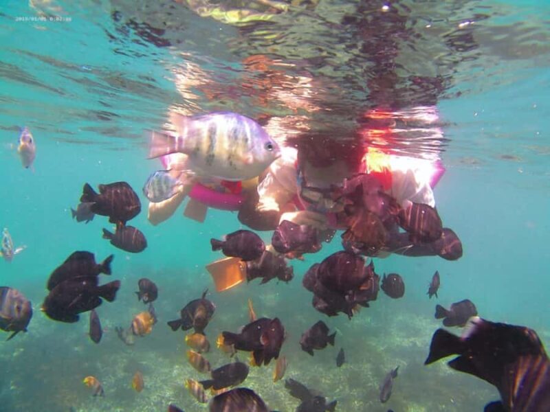 Bali: Private Snorkeling Trip to Blue Lagoon & Tanjung Jepun - The Itinerary in Detail