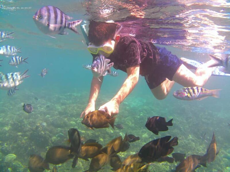 Bali: Private Snorkeling Trip to Blue Lagoon & Tanjung Jepun - Insights from Reviews