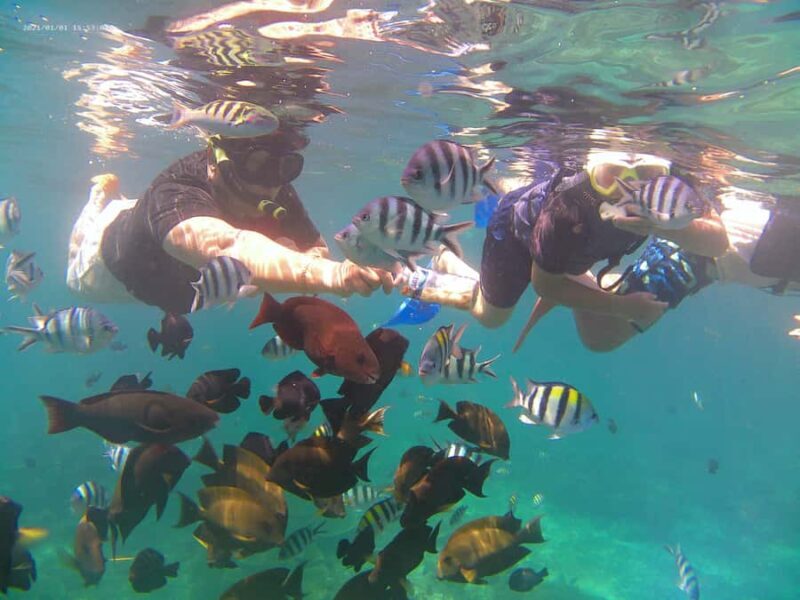 Bali: Private Snorkeling Trip to Blue Lagoon & Tanjung Jepun - FAQ