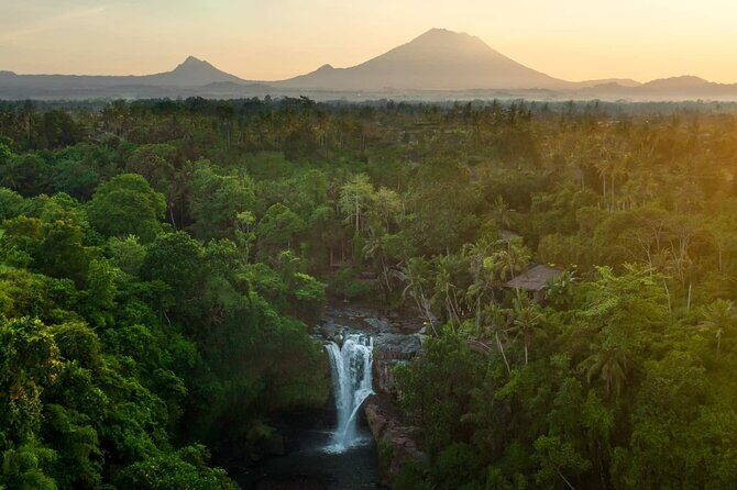 Bali Private Tour - Best of Ubud - All Inclusive - The Bottom Line: Is It Worth It?