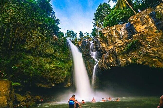 Bali Private Tour : Best Of Ubud & Volcano View With Jungle Swing - Who Should Consider This Tour?