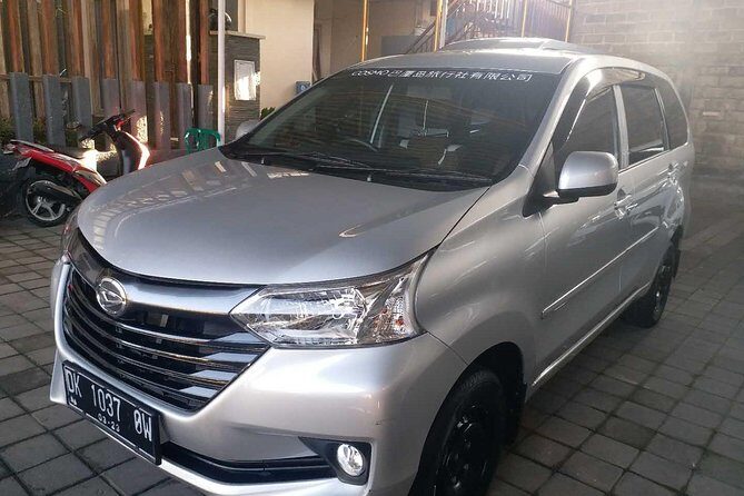 Bali Private Tour - Car with Driver - A Closer Look at the Experience