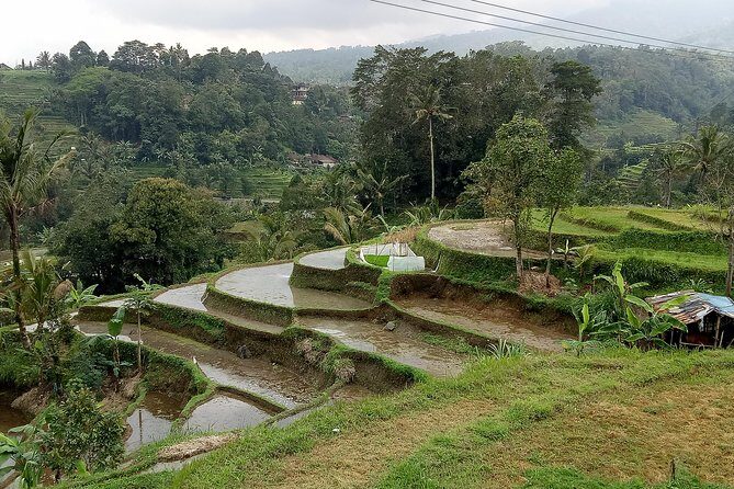 Bali Private Tour Guide And Driver - What to Expect on Your Bali Private Tour