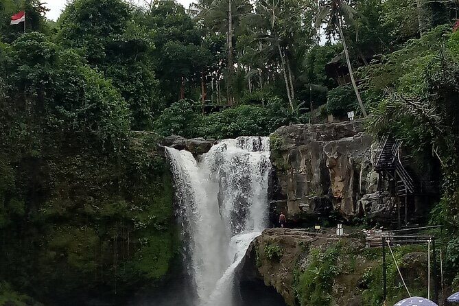 Bali Private Tour Guide And Driver - Who Should Consider This Tour?