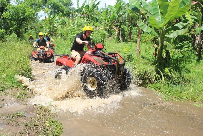 Bali Private Tour Guide And Driver - FAQ