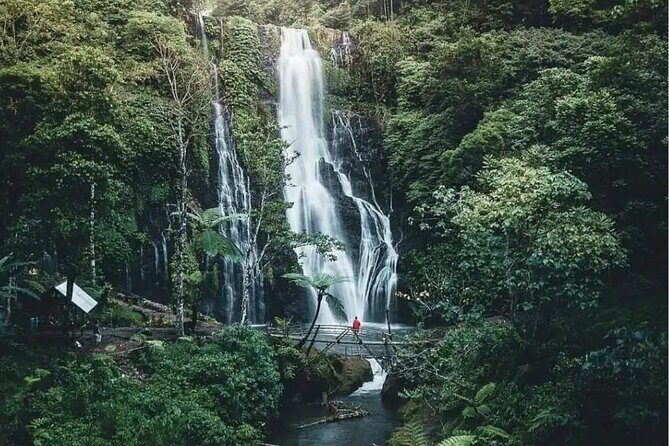 Bali Private Tour: Handara Iconic Gate, Watefall and Temple - The Sum Up