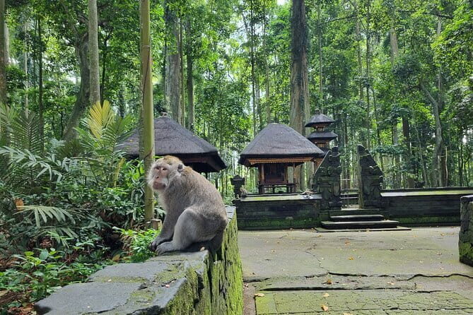 Bali Private Tour Nung-Nung Waterfall and Tanah Lot Temple - Exploring Bali’s Natural and Cultural Highlights in One Day