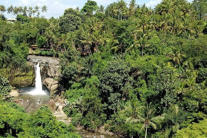 Bali Private Tour: Waterfall, Monkey forest and Tanah lot sunset - An Honest Breakdown of the Itinerary