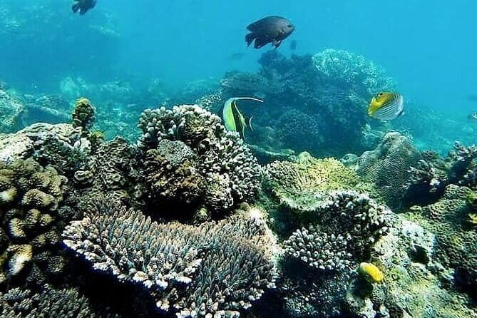 Bali Private Tour: Waterfall, Monkey forest and Tanah lot sunset - Final Thoughts