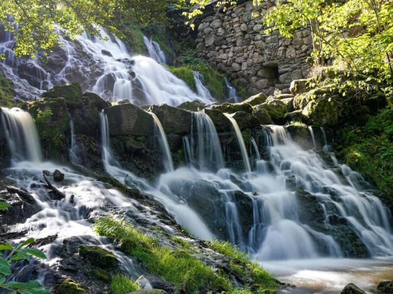 Bali: Private Waterfalls and Rice Terraces Day Trip - A Detailed Look at the Tour