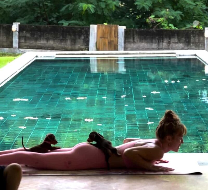 Bali: Puppy Yoga Class - Rescue Puppies & Refreshing Drinks - An In-Depth Look at Bali’s Puppy Yoga Class