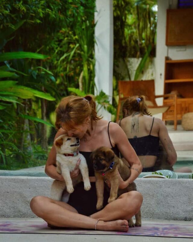 Bali: Puppy Yoga Class - Rescue Puppies & Refreshing Drinks - The Sum Up