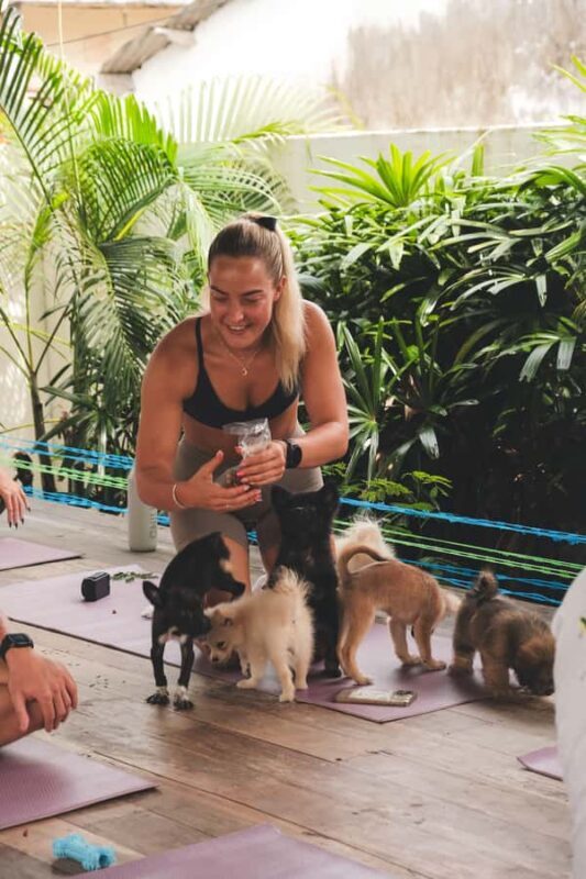 Bali: Puppy Yoga in Canggu #1 Thing to Do - Who Will Love This Experience?