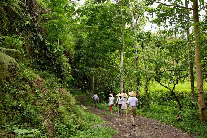Bali Pure trek with spiritual journey, purification ceremony, local priest -Ubud - Key Points