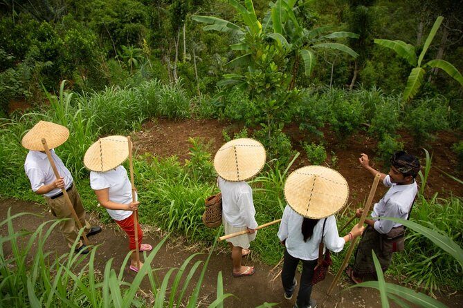 Bali Pure trek with spiritual journey, purification ceremony, local priest -Ubud - The Return to Ubud and Evening Drop-Off