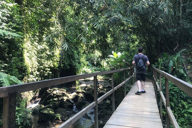 Bali Quad Adventure with Waterfall Tour - Authentic Reviews and Experiences