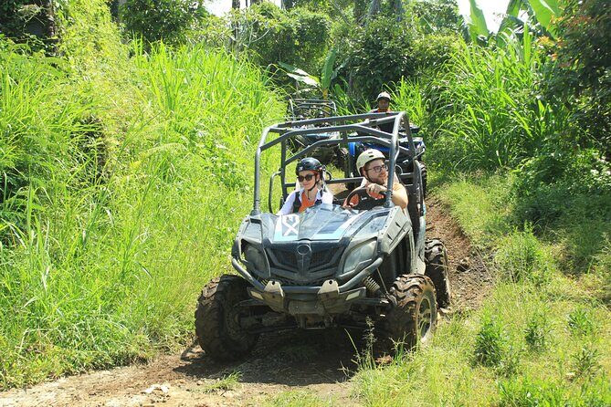 Bali Quad and Buggy Discovery Tour, Including Round-Trip Transfer - The Experience from Reviews
