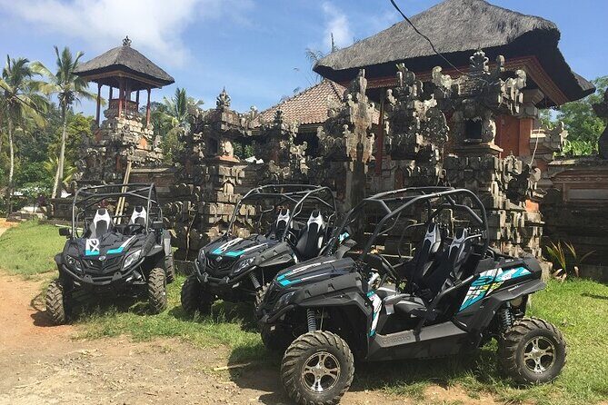 Bali Quad and Buggy Explorer Tour - Authentic Experiences and Real Traveler Insights