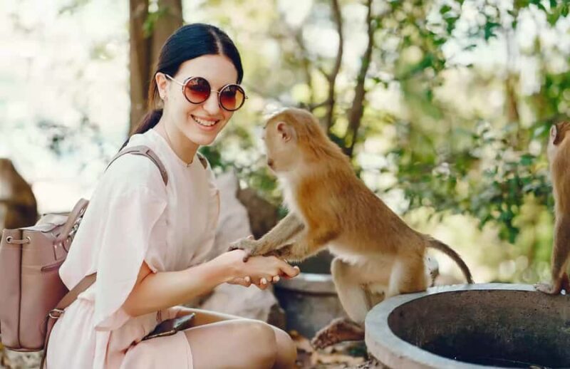 Bali: Quad Bike Adventure with Ubud Monkey Forest Tour - Key Points