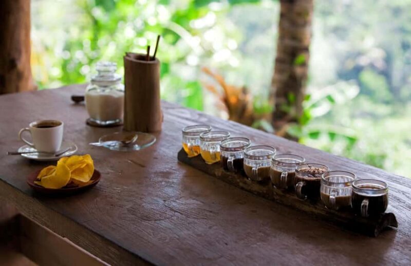 Bali: Quad Bike Adventure with Ubud Monkey Forest Tour - Who Will Love This Tour?