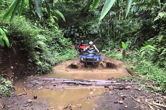 Bali Quad Bike ATV 250cc with Private Transport - A Closer Look at the Tour Experience