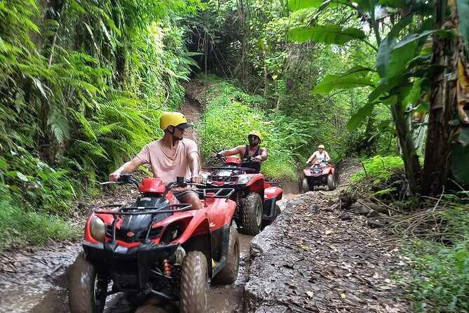 Bali Quad Bike Gorilla Cave & Ubud White Water Rafting With Lunch - Key Points