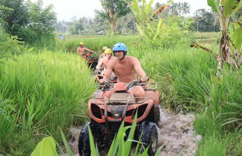 Bali Quad Bike Through Gorilla Cave And Waterfall - Who Is This Tour Best For?
