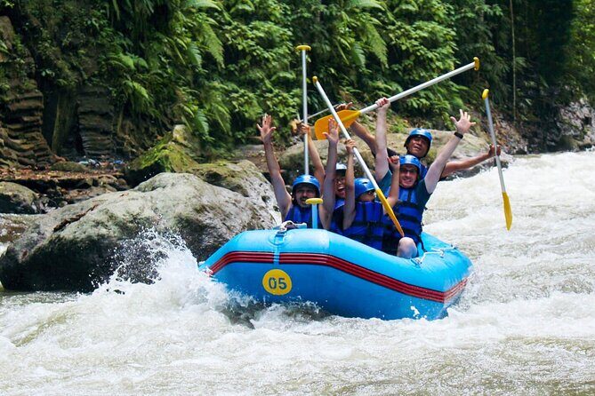 Bali Rafting at Ayung River Ubud - (Private & All-Inclusive) - Who Should Consider This Tour?