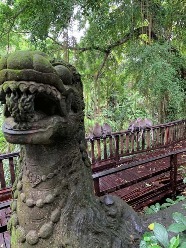 Bali Rafting ayung River Combination Private Ubud Tour - Key Points