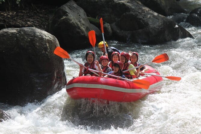 Bali Rafting : Bali Family Rafting in Ubud and Ubud Private Tour - An In-Depth Look at the Ubud Private Tour Experience