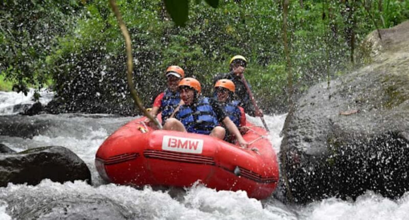 Bali Rafting: River Rafting with Zipline Down to the River - Key Points