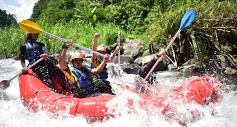 Bali Rafting: River Rafting with Zipline Down to the River - Who Is This Tour Best Suited For?