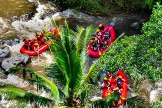 Bali Rafting: Ubud Rafting at Ayung River with Lunch & Transport - Key Points