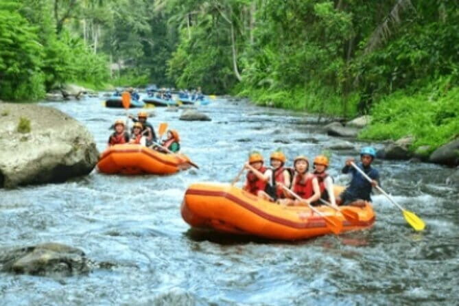 Bali Rafting: Ubud Rafting at Ayung River with Lunch & Transport - An Overview of the Ubud River Rafting Experience