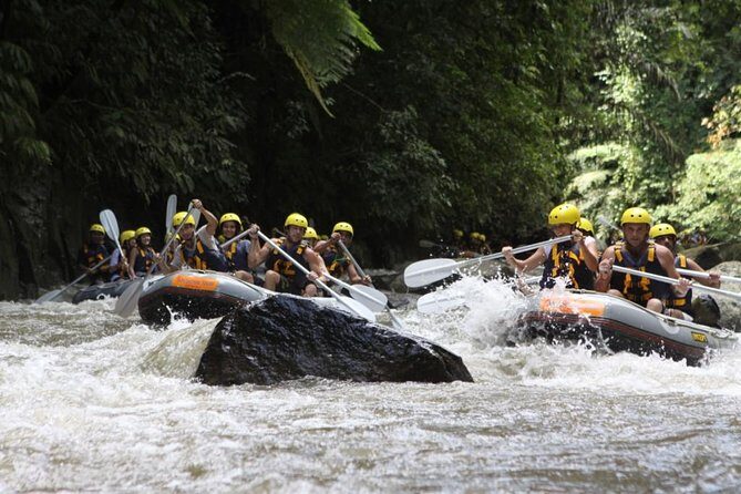 Bali Rafting Ubud with Lunch - An In-Depth Look at the Bali Rafting Tour