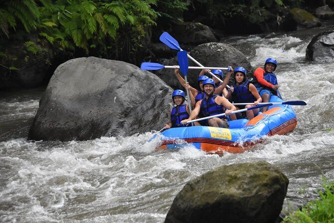 Bali Rafting with Lunch and Transport - Overview of Bali Rafting with Lunch and Transport