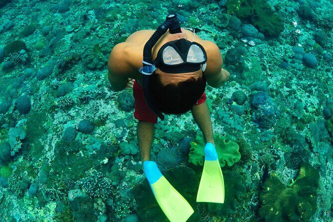 Bali Reef Cruise and Lembongan Island Day Trip - An Overview of the Tour Experience