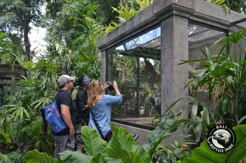 Bali Reptile Park 1-Day Admission Ticket - A Close Look at What the Bali Reptile Park Offers