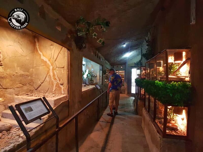 Bali Reptile Park 1-Day Admission Ticket - Who Is This Tour Best For?