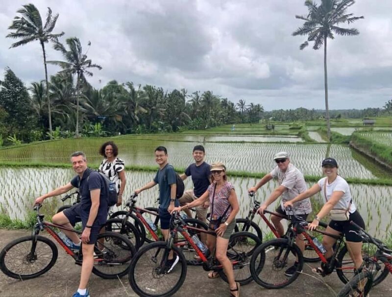 Bali: Rice Field and Village Cycling Tour with Guide - Key Points