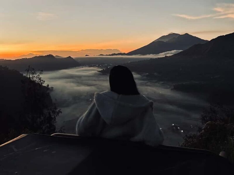 Bali: Rice Terrace & Volcano Tour with Penglipuran Village - A Closer Look at the Itinerary