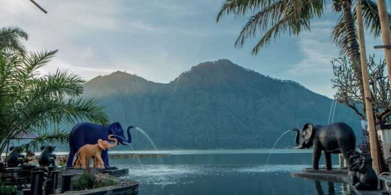 Bali: Rice Terrace & Volcano Tour with Penglipuran Village - Final Thoughts