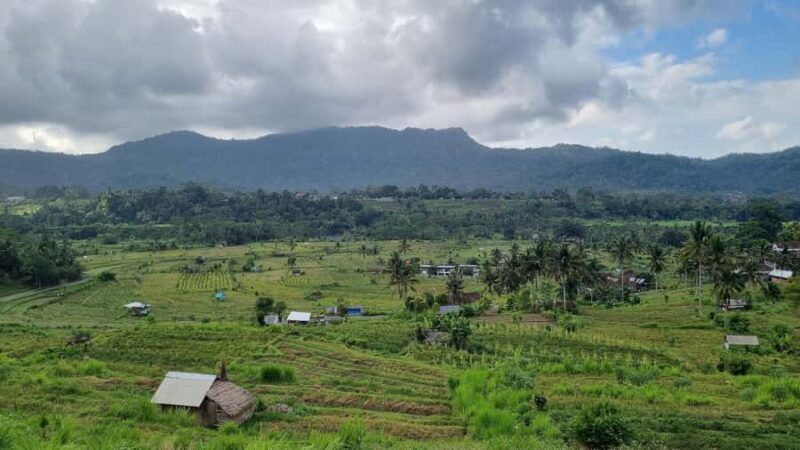 Bali Rice Terraces & Cultural Temples Tour - Key Points