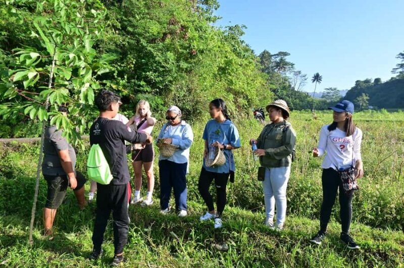 Bali Rice Terraces & Cultural Temples Tour - Practical Details: What to Know Before You Go