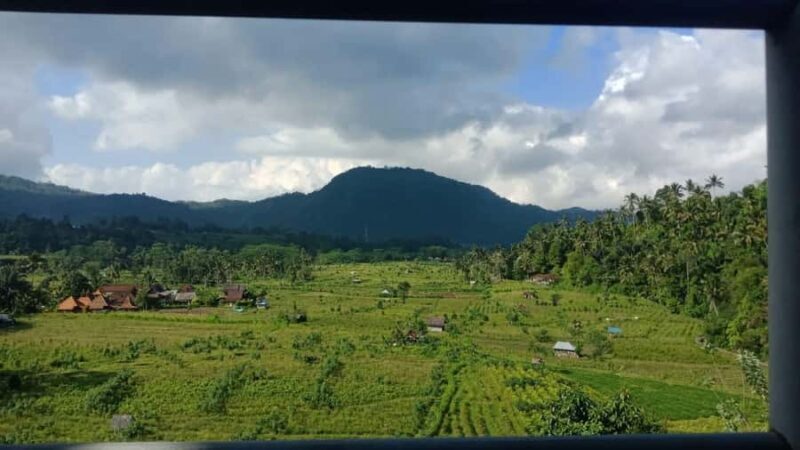 Bali Rice Terraces & Cultural Temples Tour - FAQ