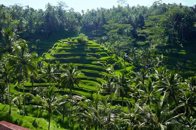 Bali River Tubing Adventure and Kintamani Volcano Tour Packages - How Does It All Come Together?