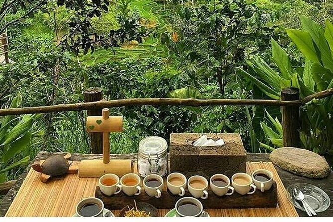 Bali romantic floating breakfast - jungle swing - monkey forest - Ubud art shop. - Final Thoughts