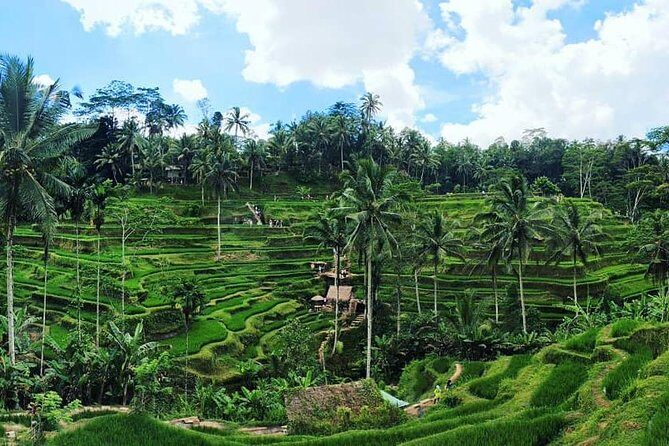 Bali Romantic: Ubud and Tanah Lot Tour - In Closing